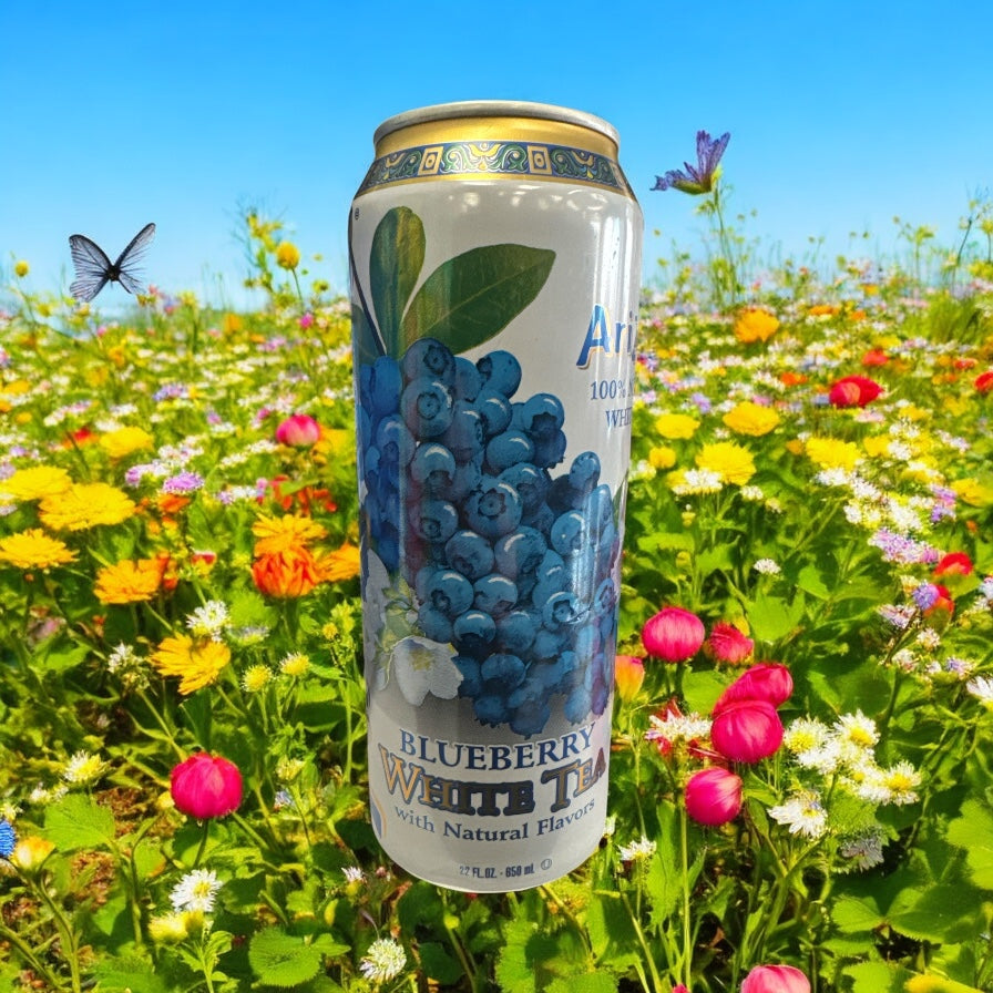 Arizona Blueberry White Tea – Le Shack à Snack